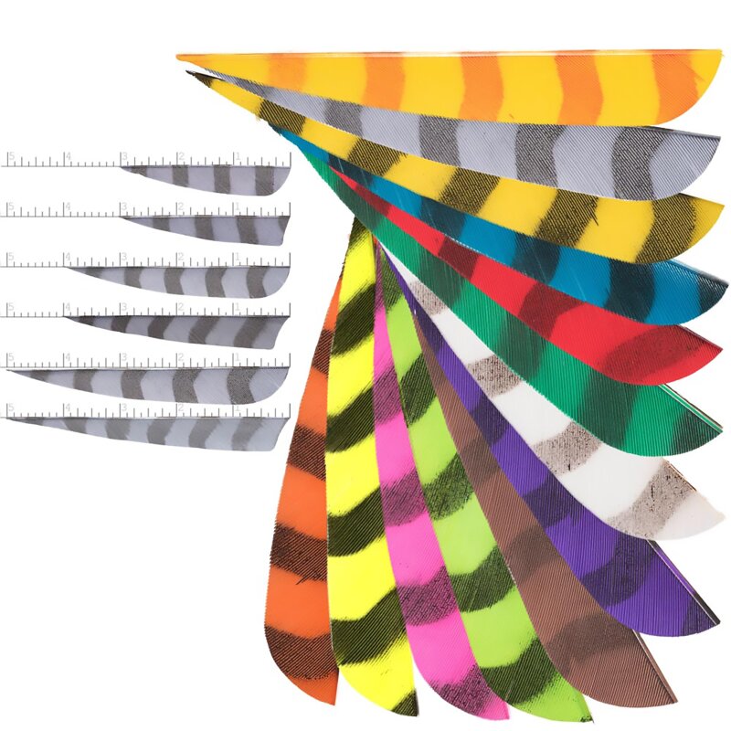 [Bestseller] SPHERE Barred - Naturfeder - gestreift - v