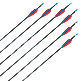 Komplettpfeil | SKYLON Radius - Carbon - ab Werk befied