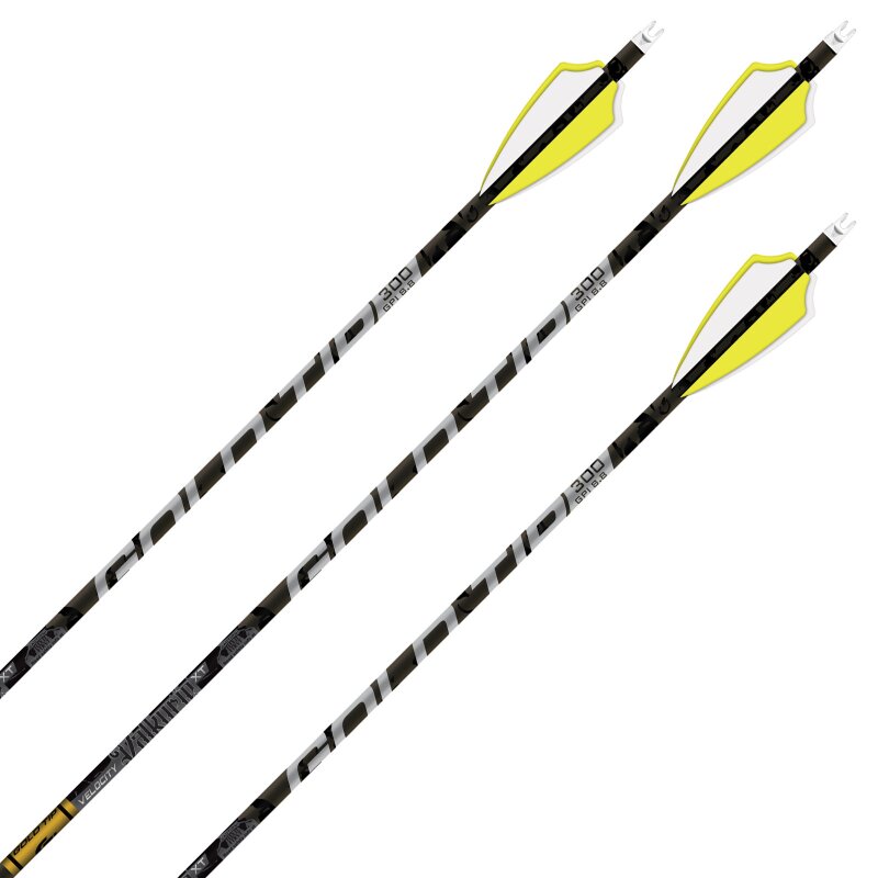 Komplettpfeil Gold Tip Velocity Valkyrie Xt Carbon