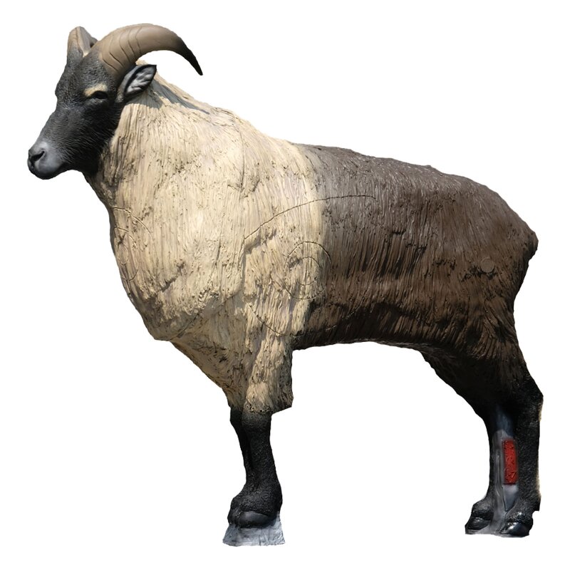 SRT Himalaya-Ziege - Outdoor Sports Adventure | Ihr H